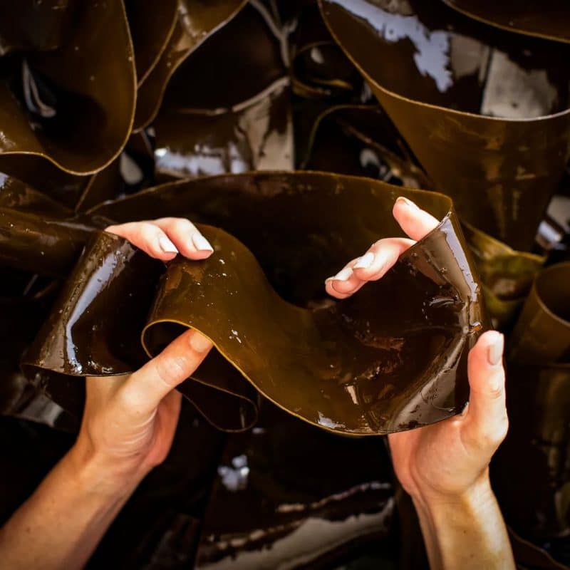 Seaweed skincare benefits: Let's talk about adding seaweed to your ...